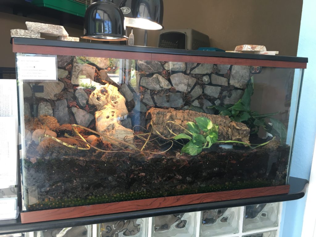 Join The Critter Club – The Bunny Hutch – Florida